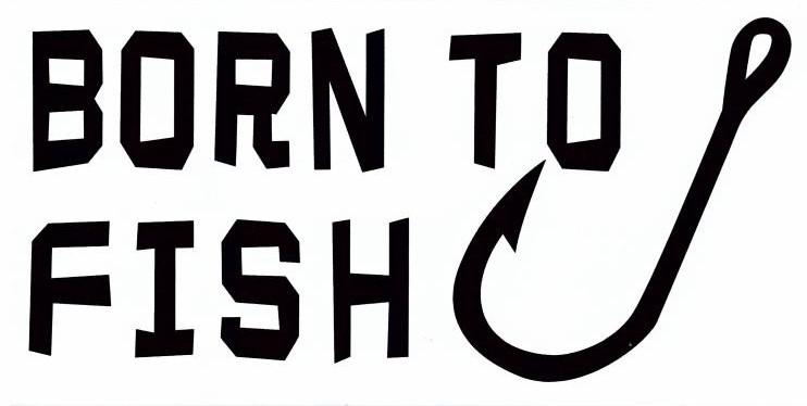 fish.jpg – Confederate Flags by Ruffin Flag Company